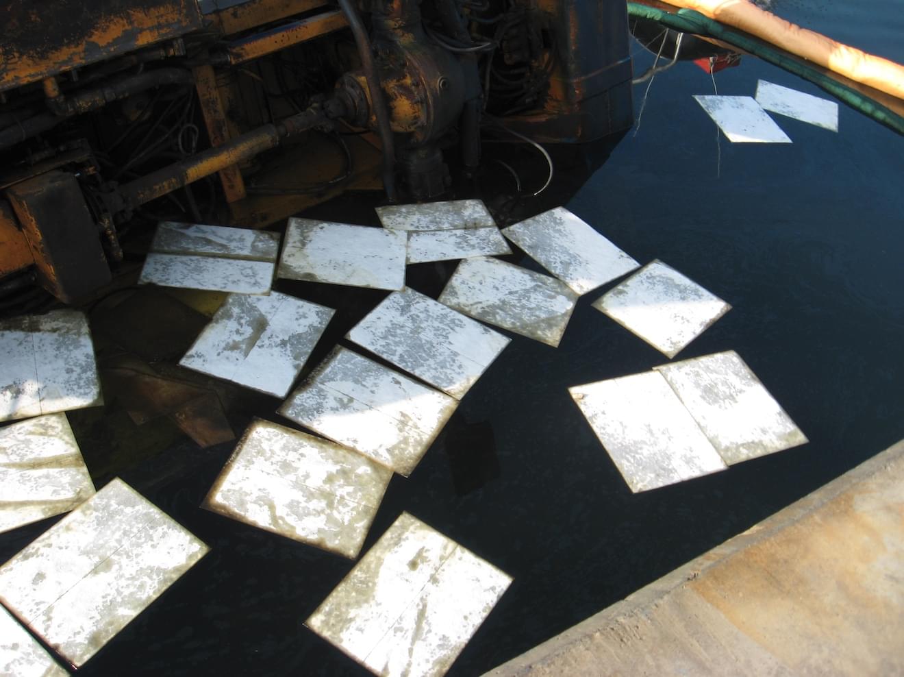 BARRERAS ABSORBENTES – Bioterramar